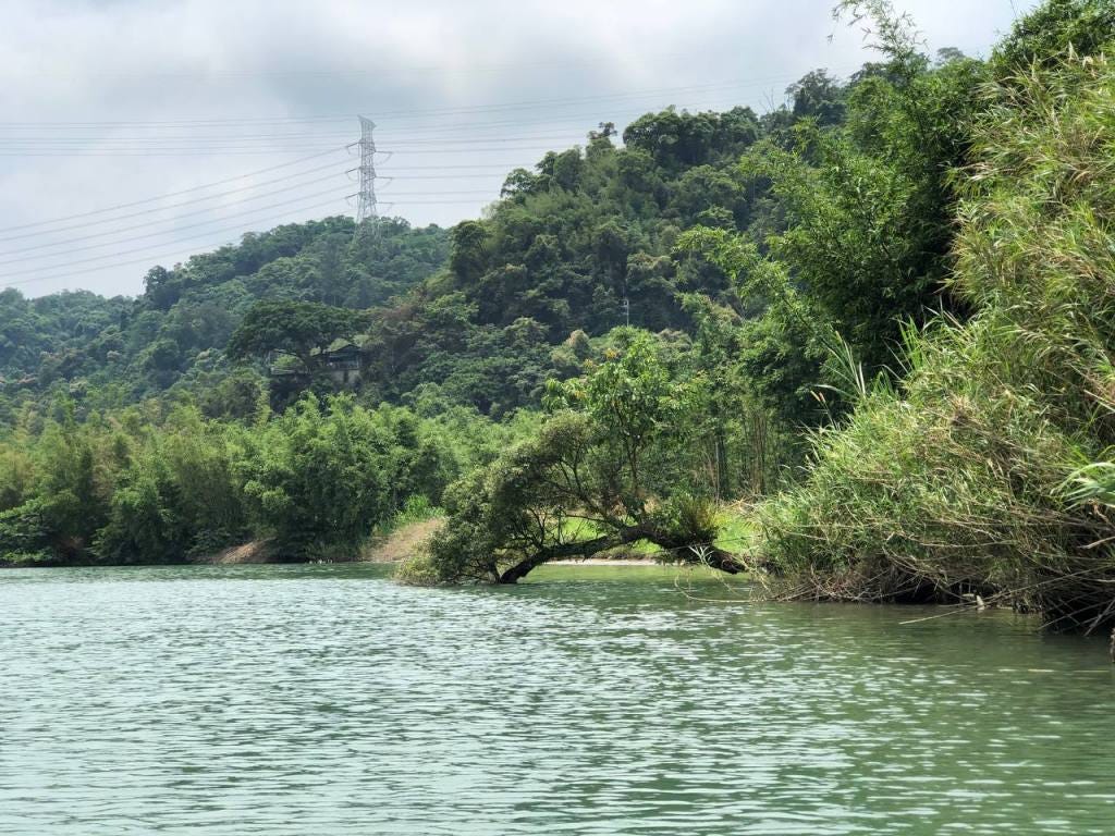 防疫三級運動日誌 — Day 6 - TH Schee - Medium