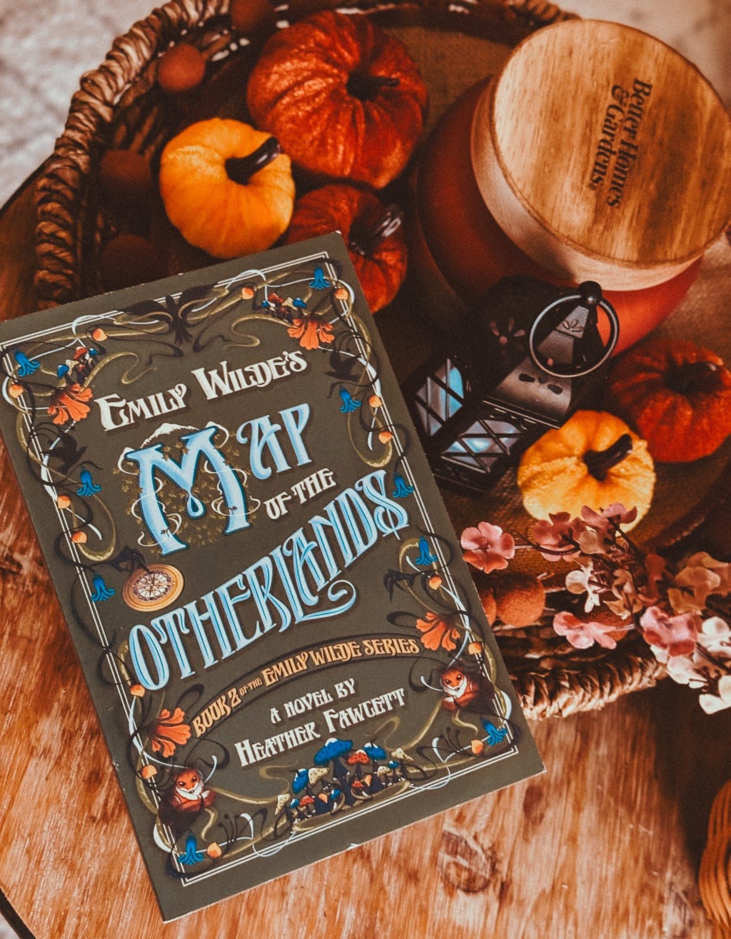 Emily Wilde’s Map of the Otherlands -Book Review | by Ekaurbook | Medium