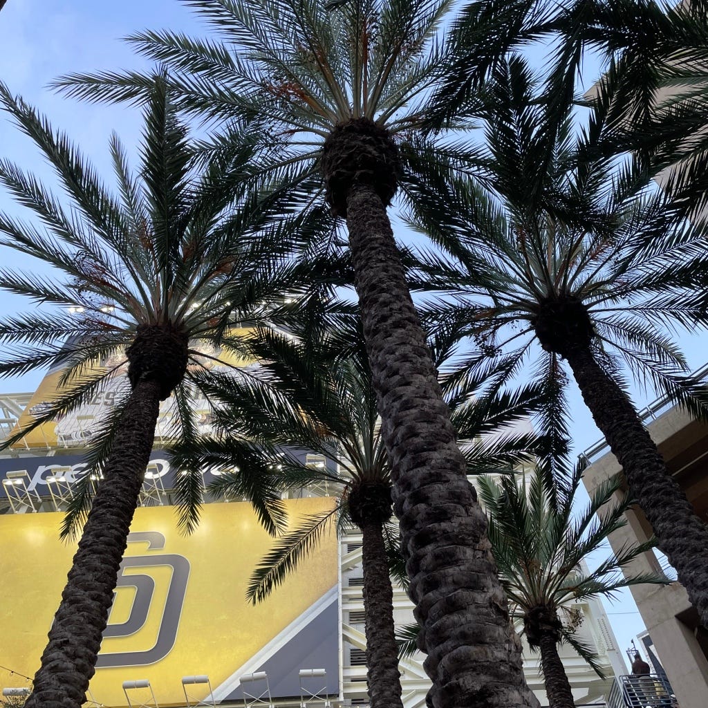 Aloha, Tacos and Vegas - Peggy Mcshane - Medium