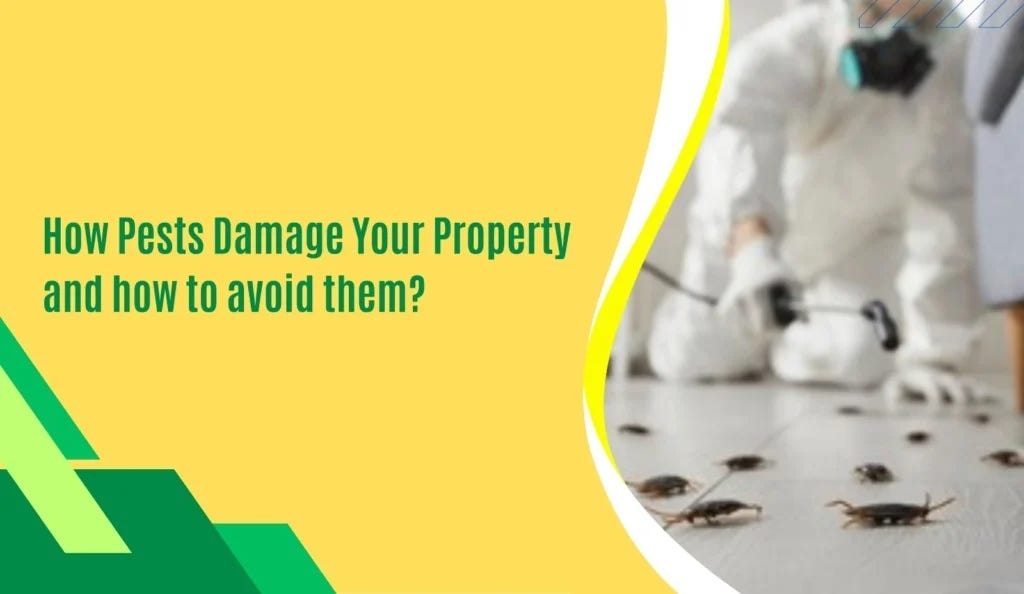 Is Your Property Under Attack by Hidden Pests? | by pestonix | Apr ...
