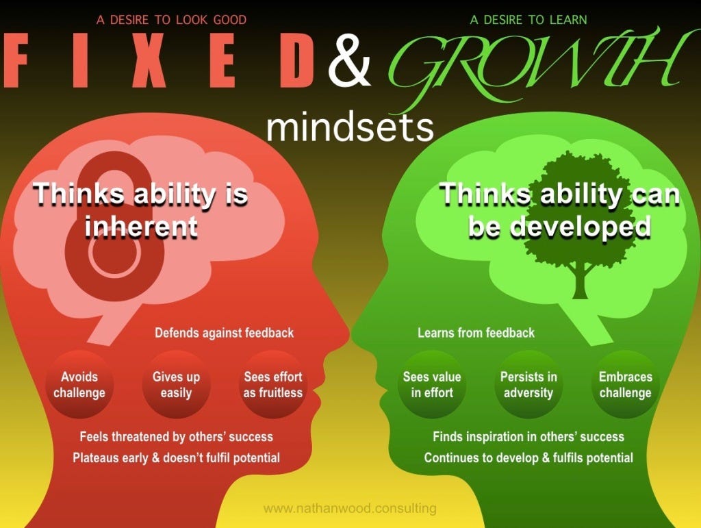 How to cultivate a growth class mindset : The path to excellence | by ...