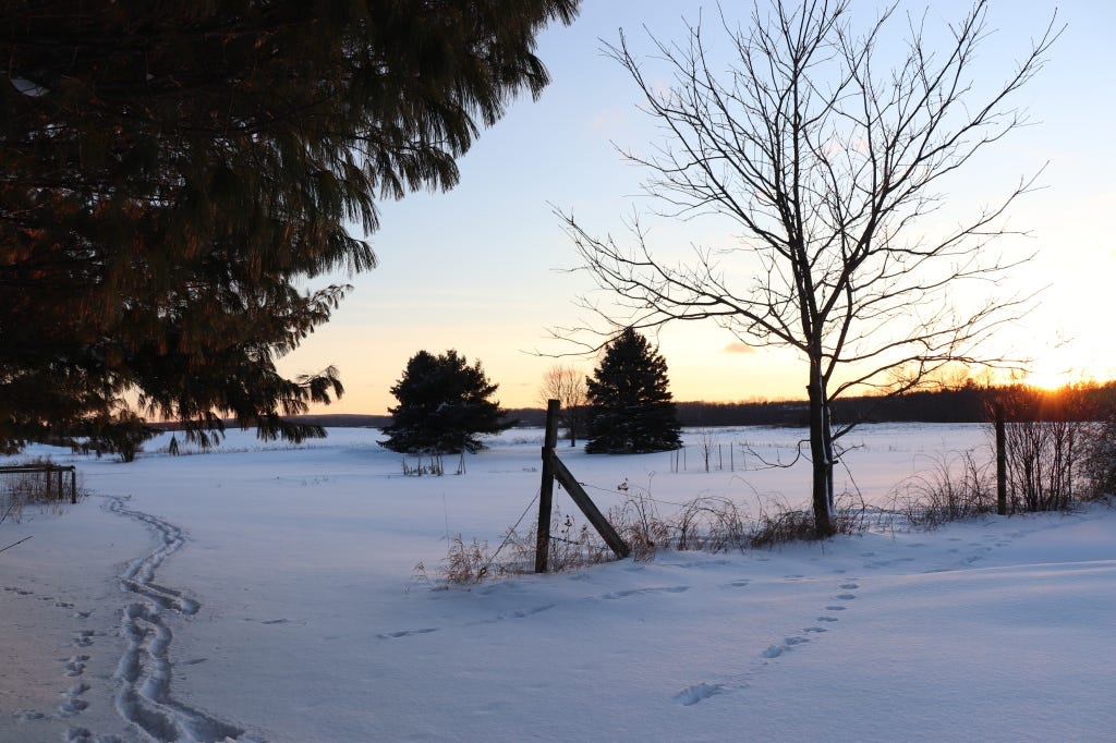 Friday Favorites (2/24/23). Here are a few of my favorite sources… | by ...