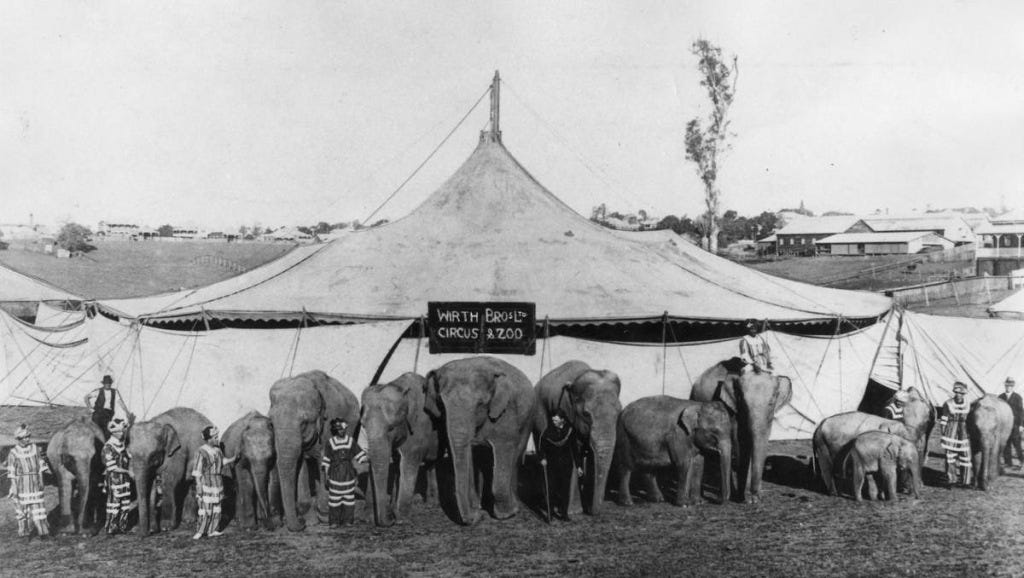 Page to Screen (to Stage): Water for Elephants | by Benoit Teves | Jan, 2024 | Medium