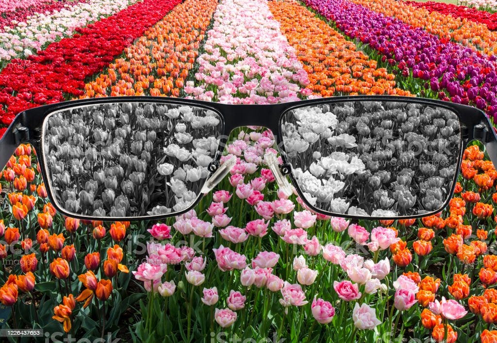 Everything You Want to Know About Color Blindness | by Chachakhabri ...