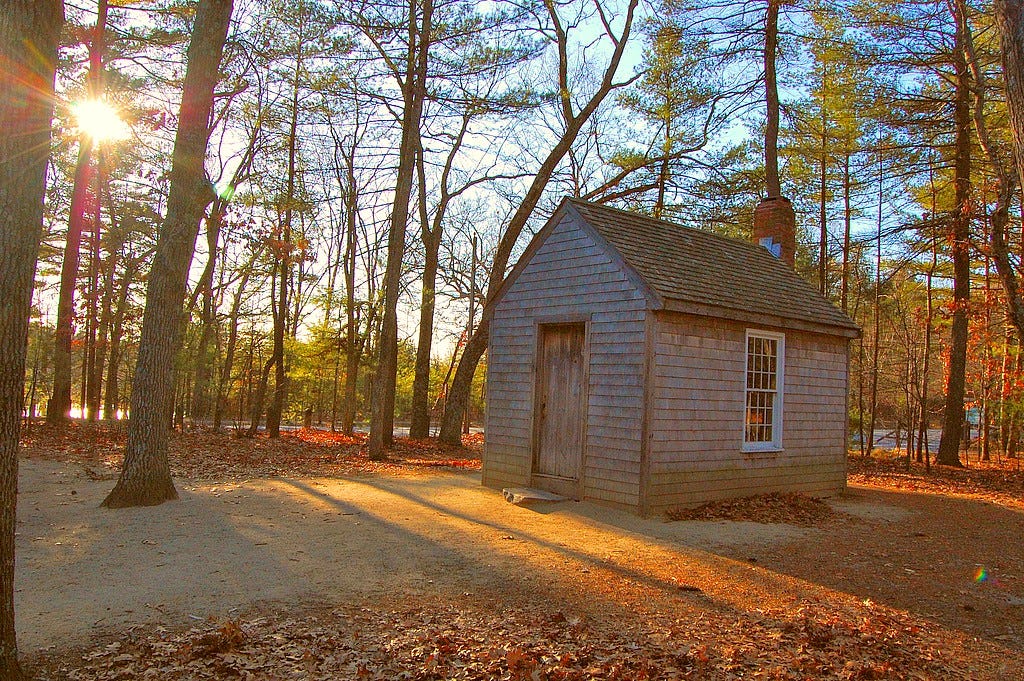 Life in the Woods. Henry David Thoreau’s vacation resulted… | by Rowan ...