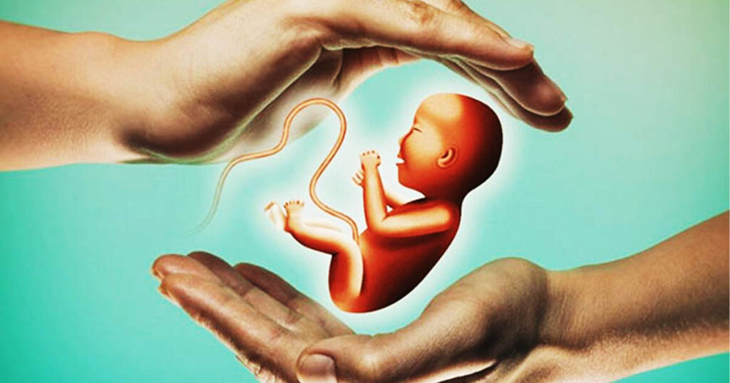 What Is Surrogacy and How Does It Work: Key Factors You Should Know ...