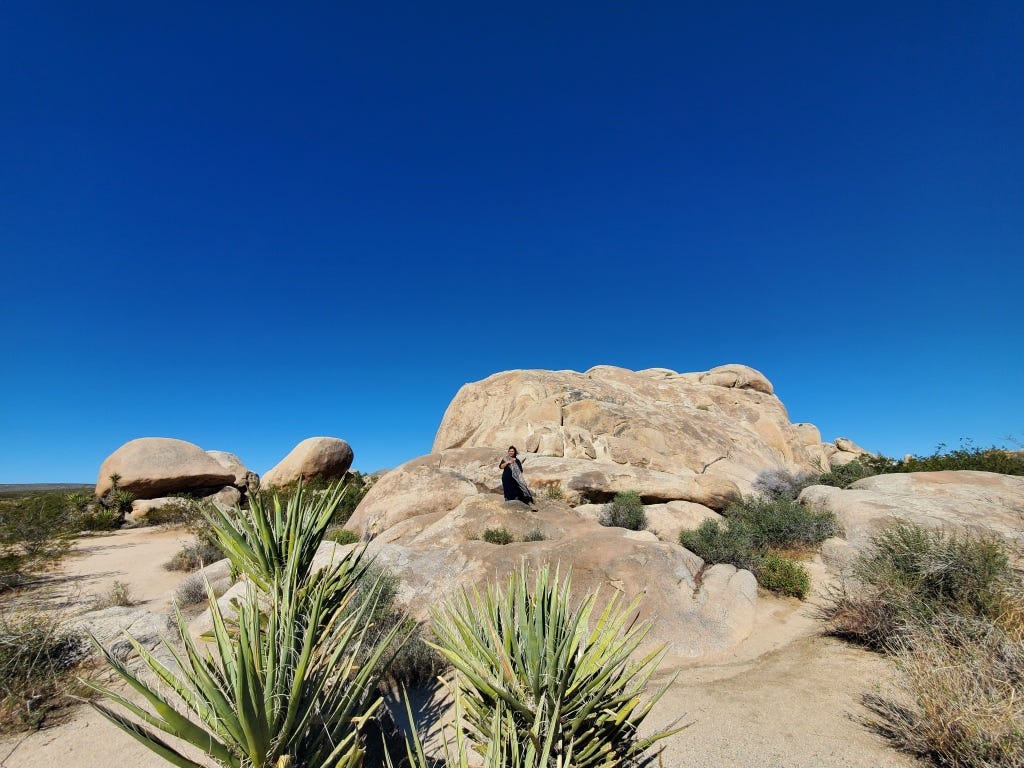 The Motto I Live By….!. by Dr. Latha Venkataraman | by Dr. Latha Venkataraman | Apr, 2025 | Medium