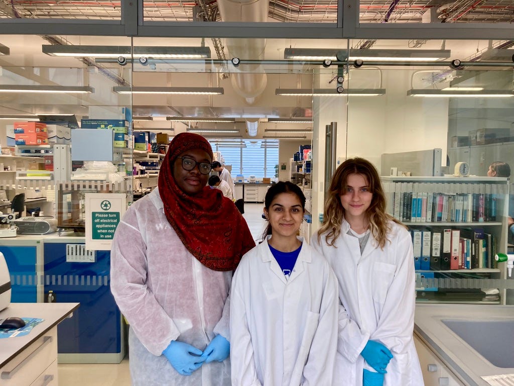 Summer Work Experience Students, 2024 | by Basecamp Research | Oct, 2024 | Medium