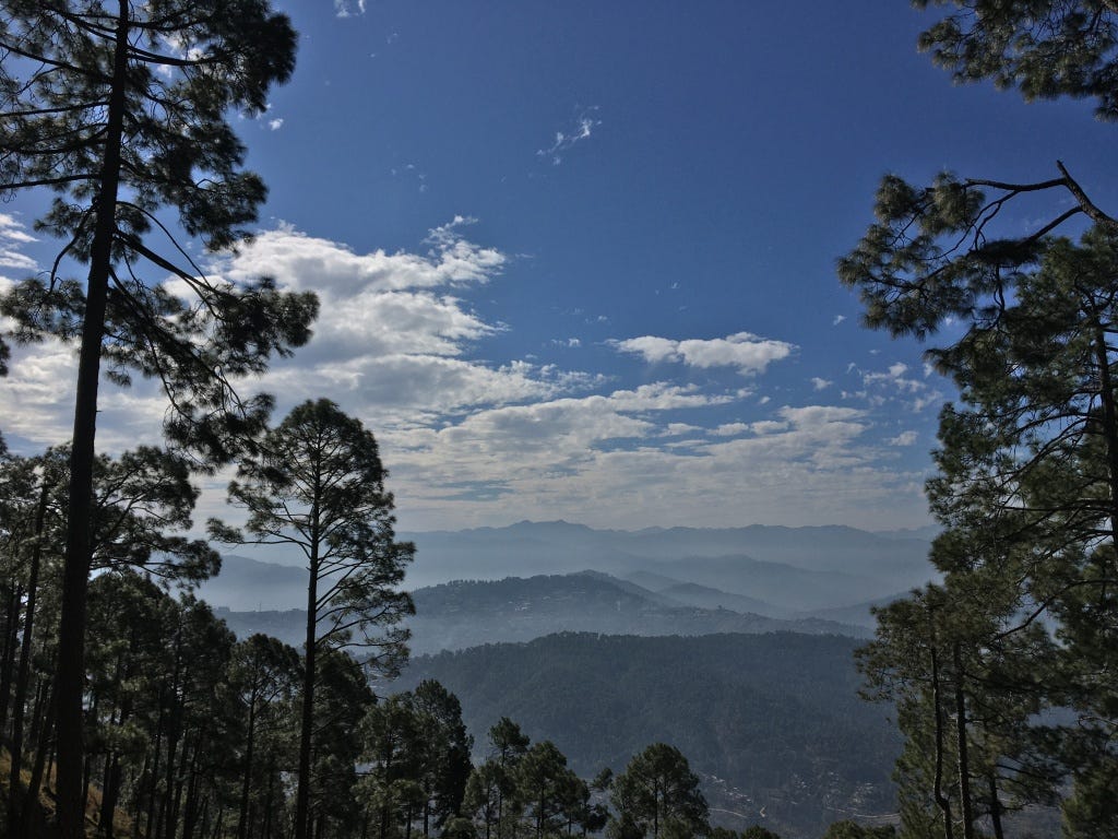 Kasar Devi: My entrepreneurial pursuit | by Ronak Muchhal | Jan, 2024 | Medium