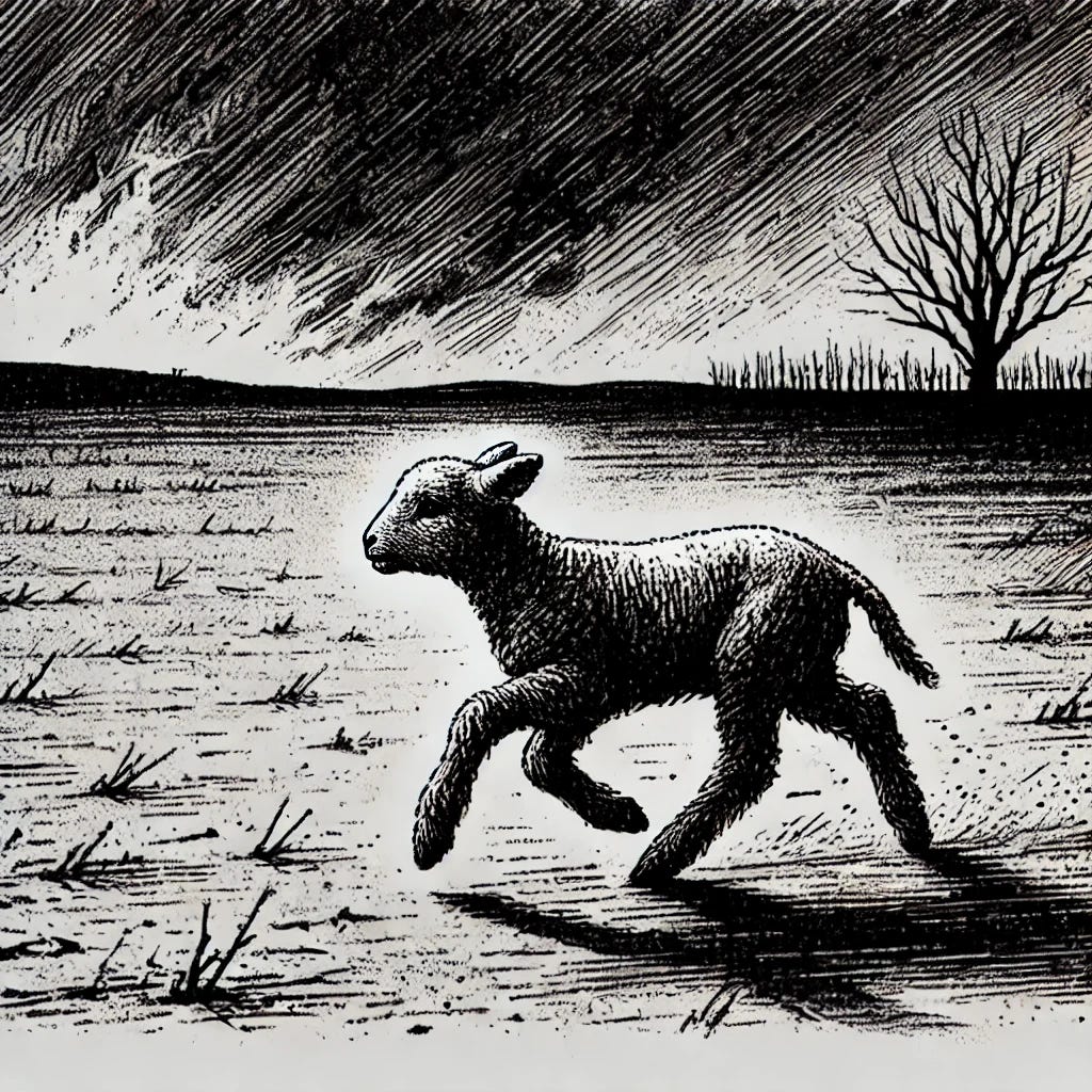 POEM: Run, Run, Little Lamb - Beck Wander - Medium