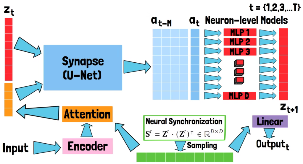 Continuous Thought Machines (CTMs) — The Era of AI Beyond Transformers ...