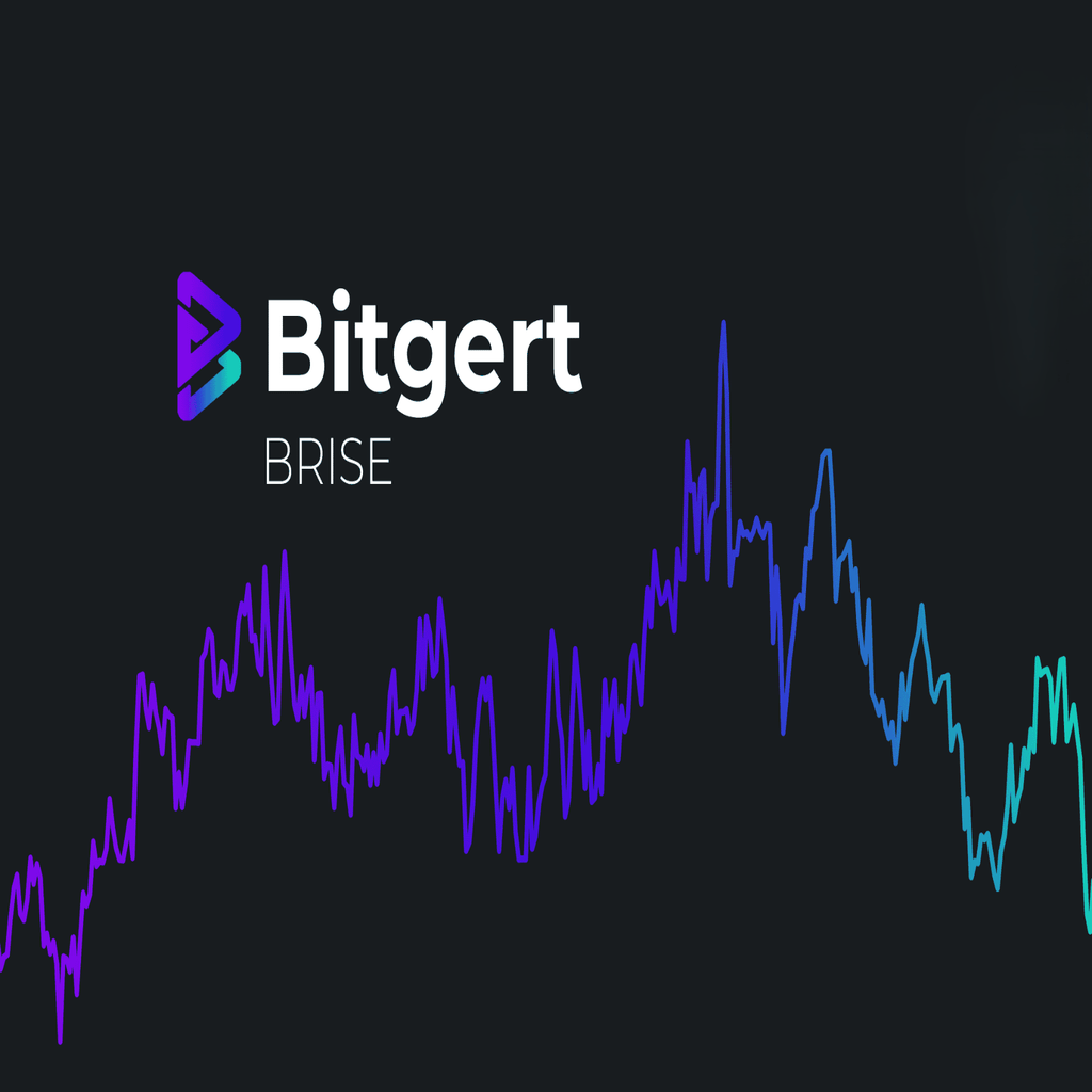 Bitgert News: Exploring the Latest Developments and Opportunities | by ...