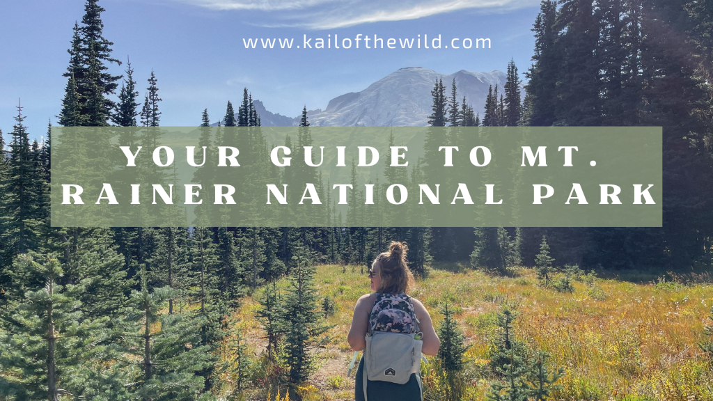 Your Guide to Mt. Rainer National Park | by Kails | Medium