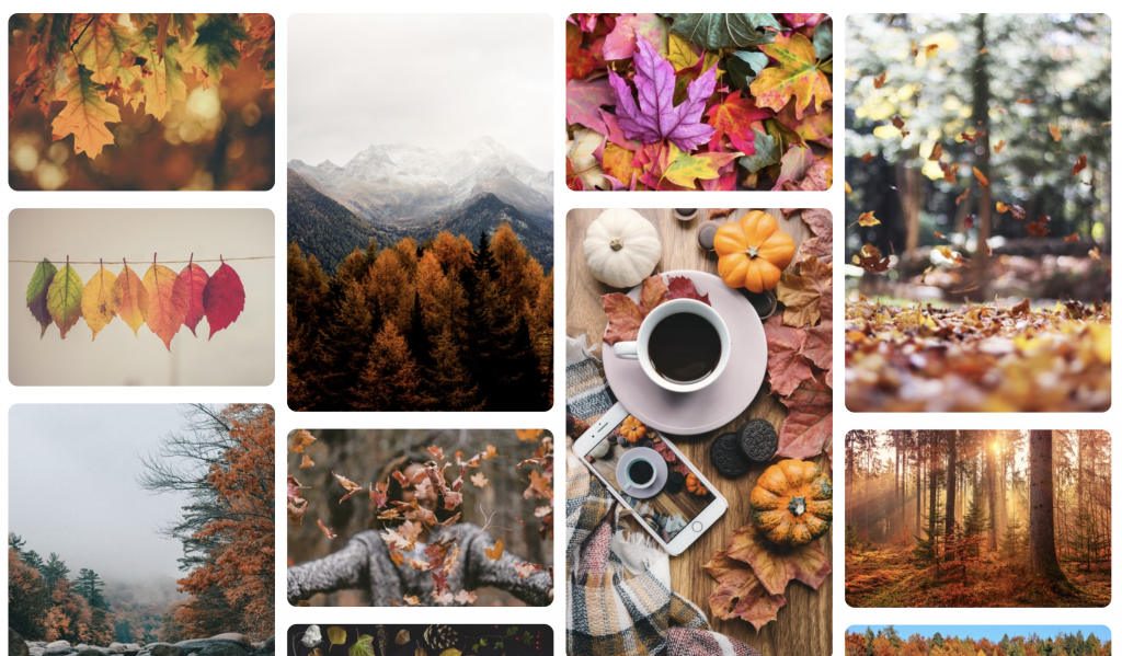 Creating a Pinterest style image gallery in Vue | by Jennifer Bland ...