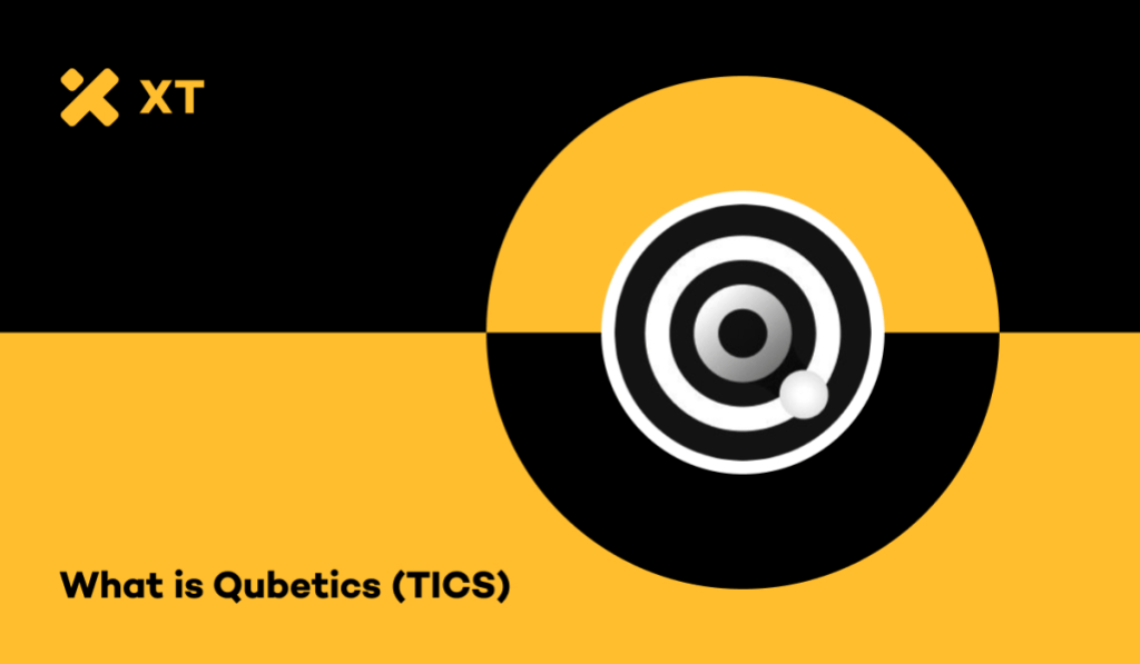 What Makes Qubetics (TICS) Different? A Look at Its Multichain Vision ...