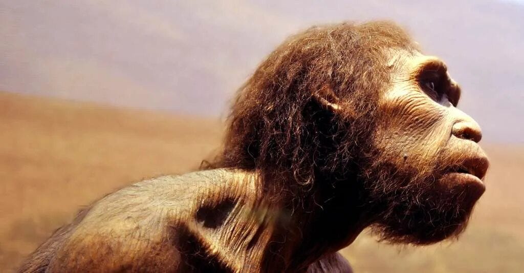 The Most Significant Achievements of Humankind | by The HashTag ...