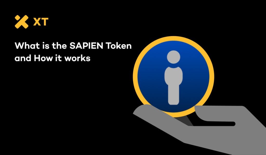 Sapien Explained: How the SPN Token Works | by XT Exchange | Medium