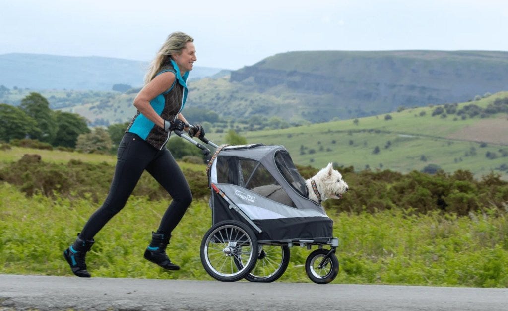The Ultimate Guide To Choosing The Right Pet Stroller For Your Needs ...
