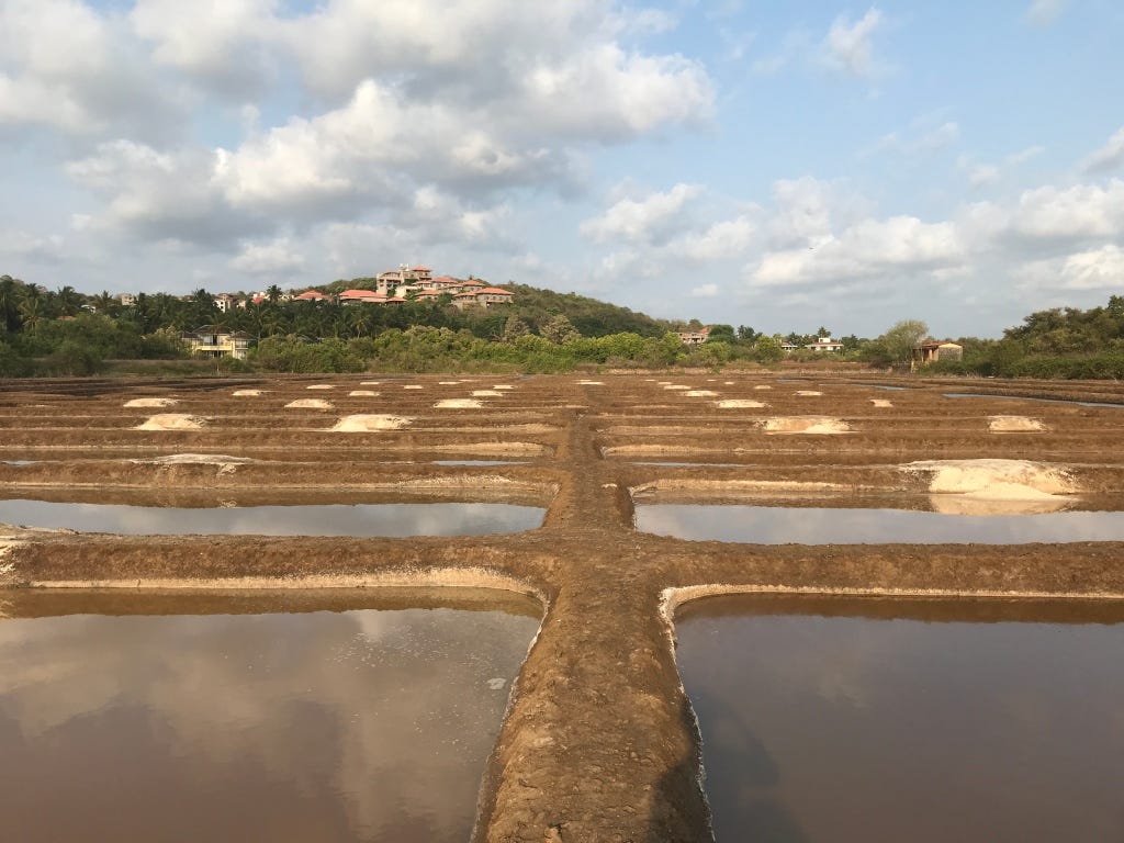 salt of the earth. Note: i have consciously moved away… | by neha ...