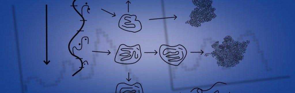 A novel target for ribosomal antibiotics | by Research Features | Medium