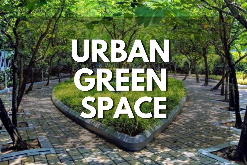 Urban Biodiversity and Green Spaces: Enhancing Nature in Cities | by ...