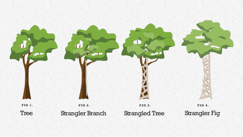 Modernizing Monoliths with the Strangler Pattern | by Ayesh Vininda ...