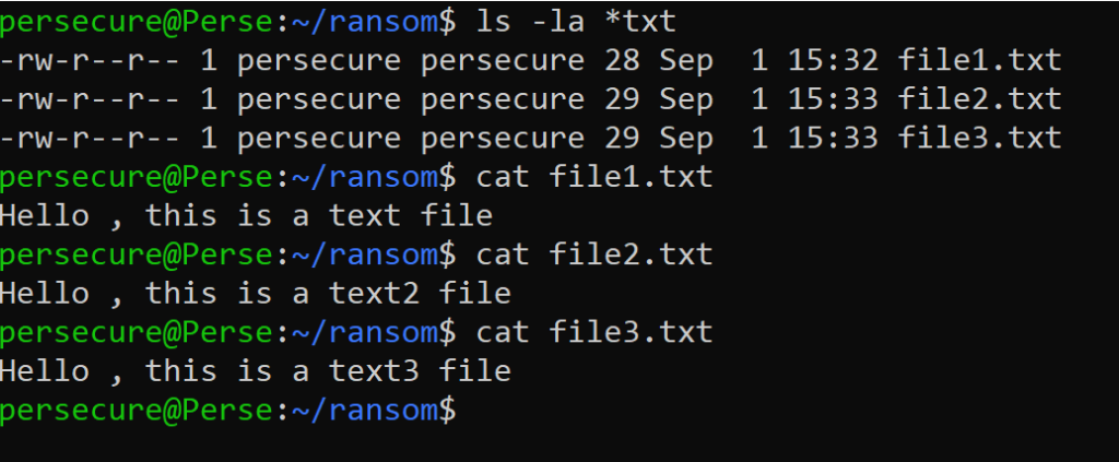 Simple Python Ransomware. Link | by Persecure | Medium