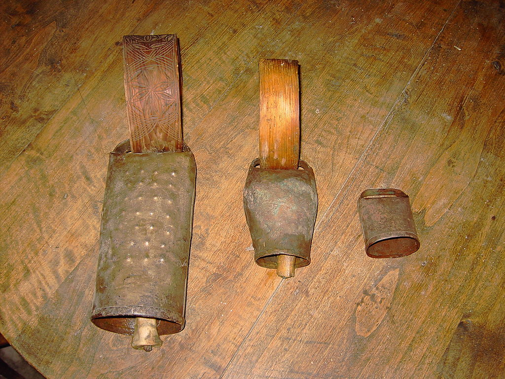 Ask yourself: “Why Have I Not Learned to Play the Cowbell?” | by The ...