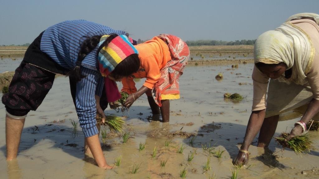 Otithi: An Ethnographic Journey. For days, I’ve pondered how to define… | by Tithi Dev | Jan ...