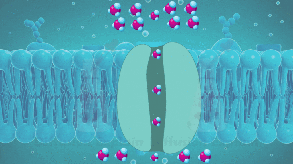 Understanding Diffusion: Principles and Influencing Factors | by ...