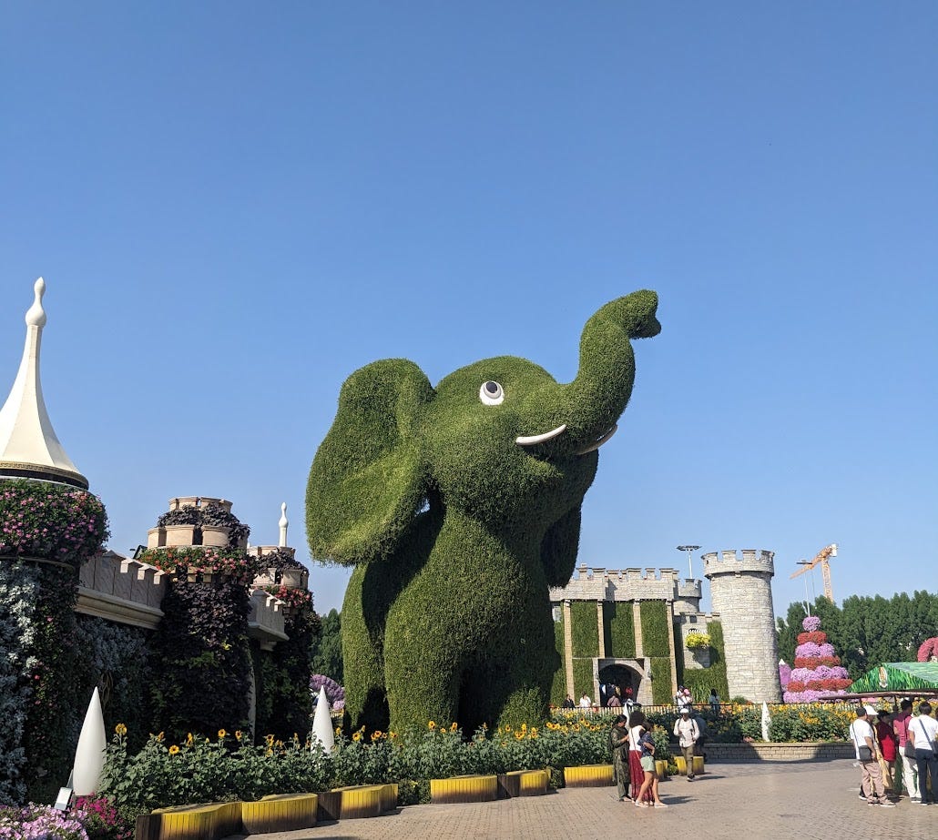 The presence that is beauty. I saw a cockroach a few days back and… | by Shanan Goyal | Medium