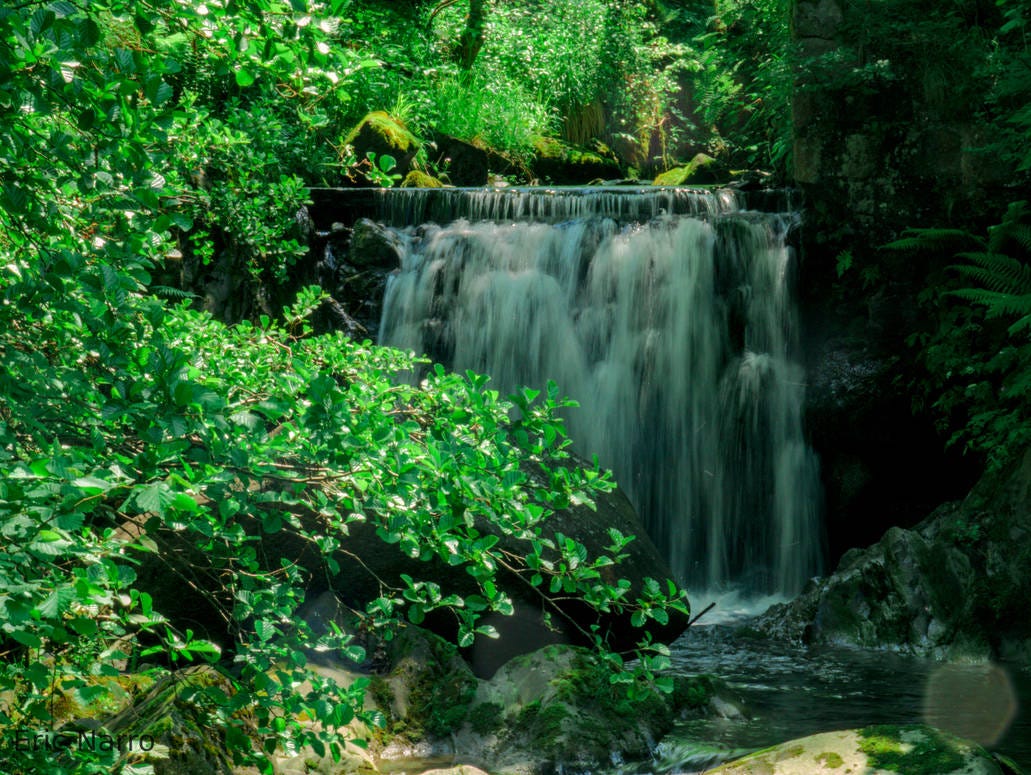 How I Got to Write a Book with Packt | My Personal Experience | by Eric Narro | Packt Hub | Medium