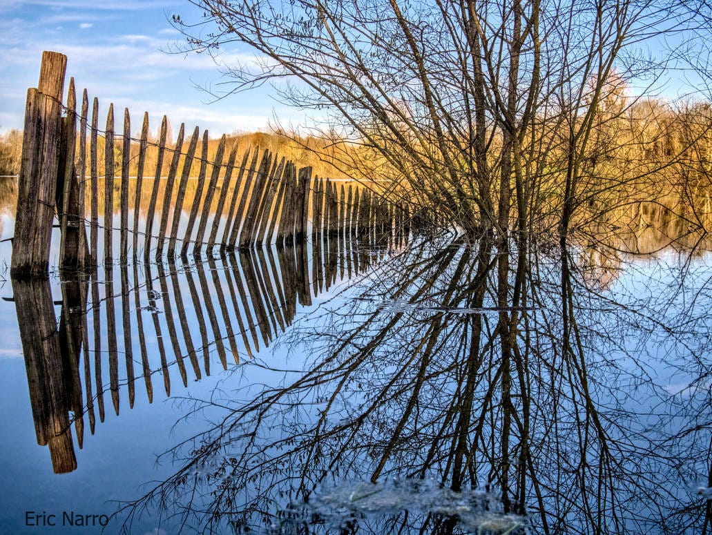 💰My Medium Earnings of Last Year | by Eric Narro | ILLUMINATION’S MIRROR | Apr, 2024 | Medium