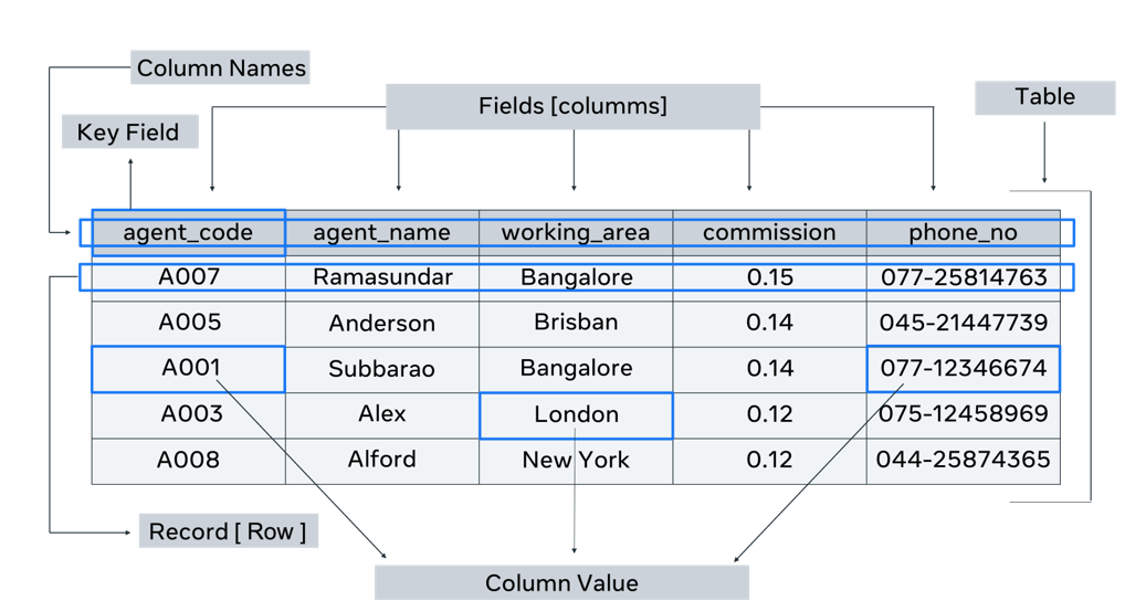 Database structure overview. In this reading, you’ll find out more ...