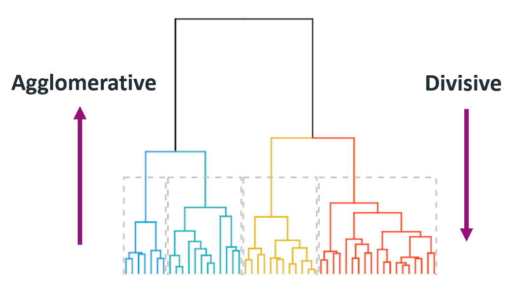 Hierarchical Clustering Hierarchical Clustering Groups… By Himanshu