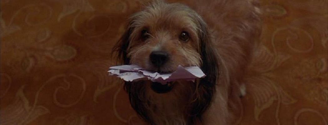 Movie Review: Benji (1974). Benji is an excellent film. It is very ...