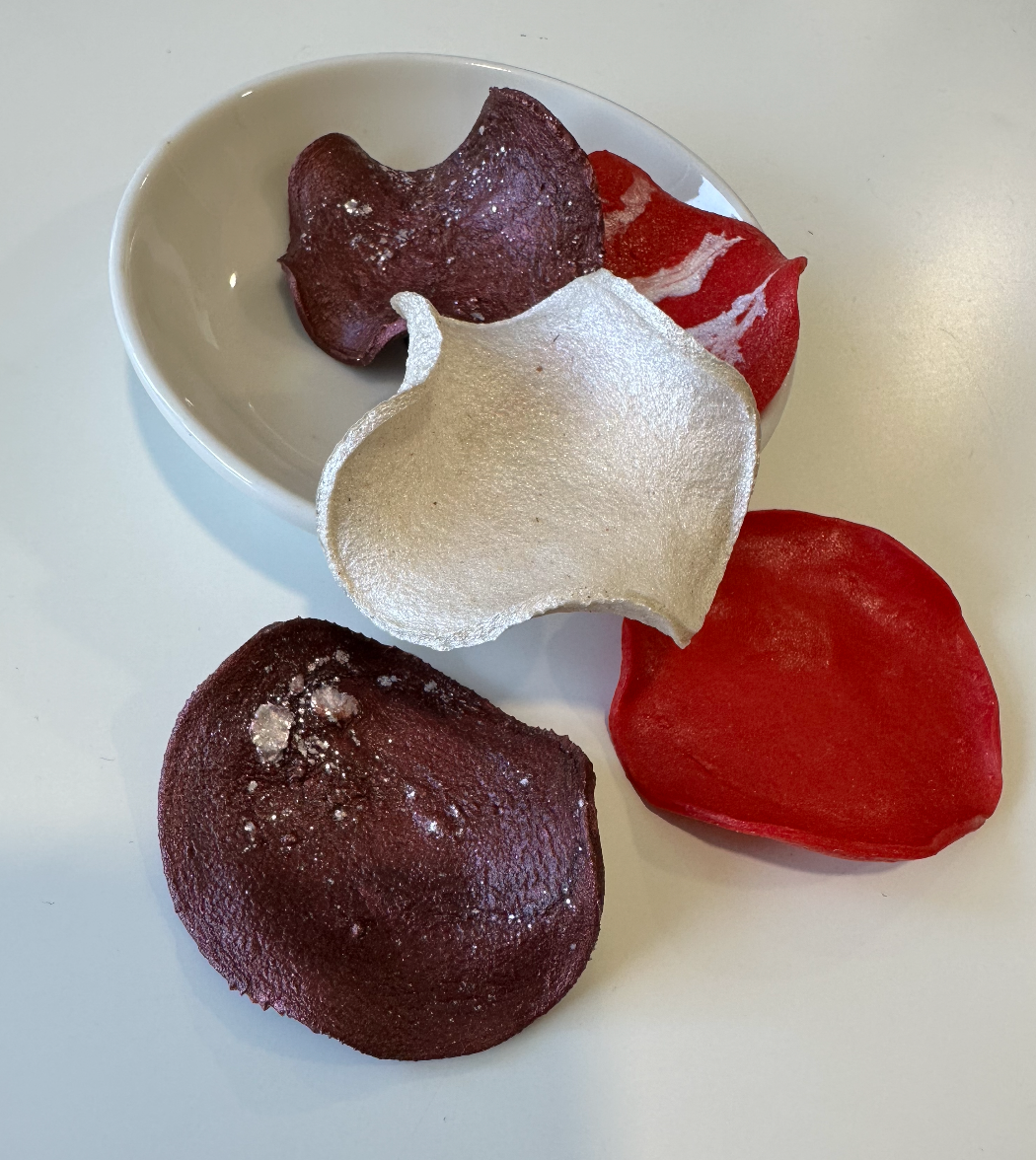 Week 10: Bioplastic - Chloe Koo - Medium