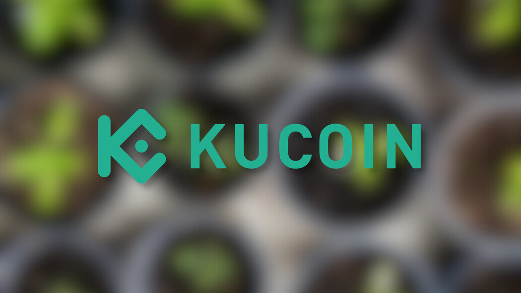 EARNING PROFITS WITH RATE-UP COUPONS OF KUCOIN EARN | by Brian Odongo | Medium