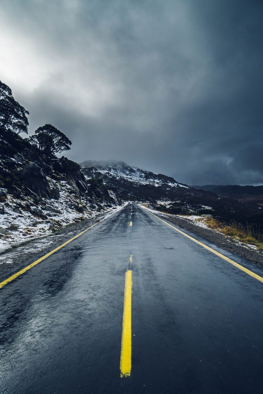 Scientists: We’re on the Road to Nowhere | by Clem Samson | The Haven | Medium