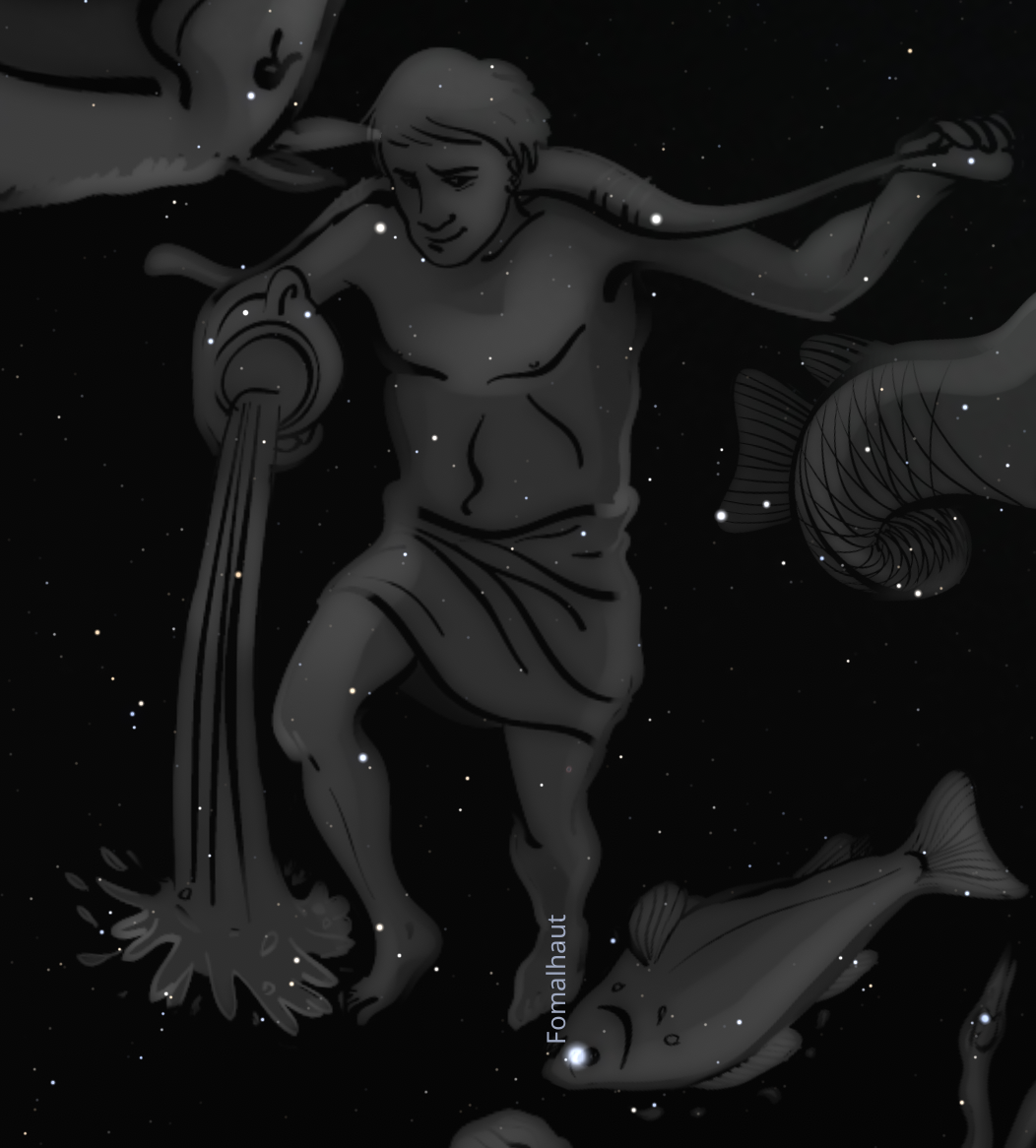 FEAR is the ANTITHESIS to HUMAN EVOLUTION | by Marcos Berrios Arredondo ...