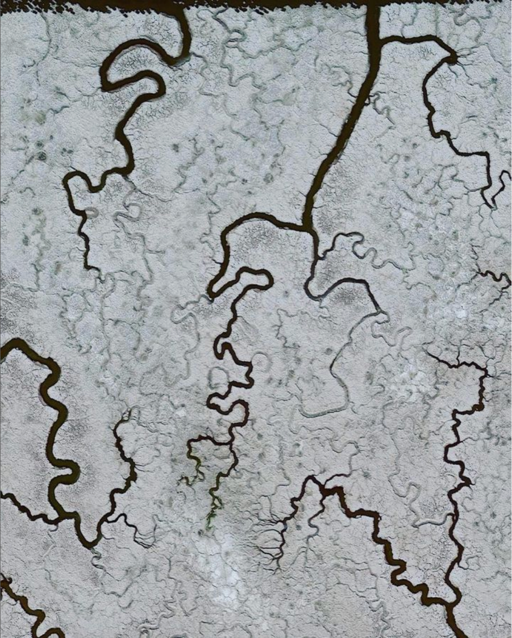 Petrolocene Pathways. The Path: The Original Artinature | by Ted Grudin ...