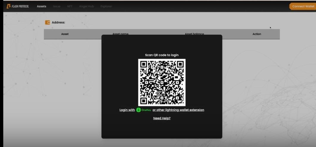 Flash Protocol Unveiled: a step-by-step guide for using the ...