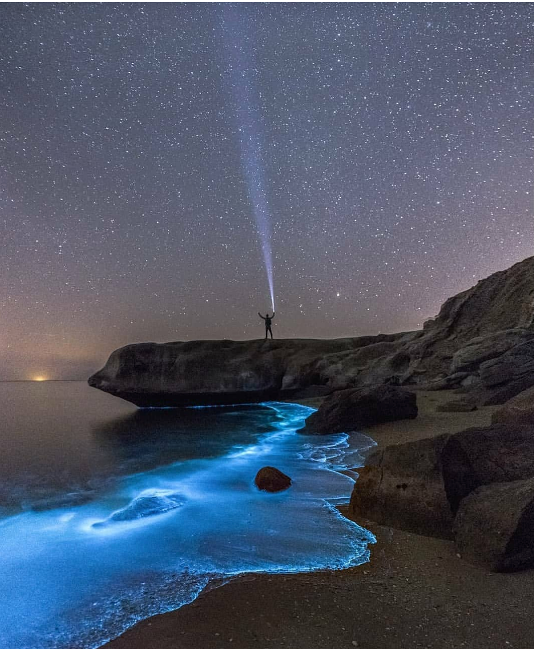 An Intro to Bioluminescence. In the image above, you can see a… | by Aayushi Parab | Medium