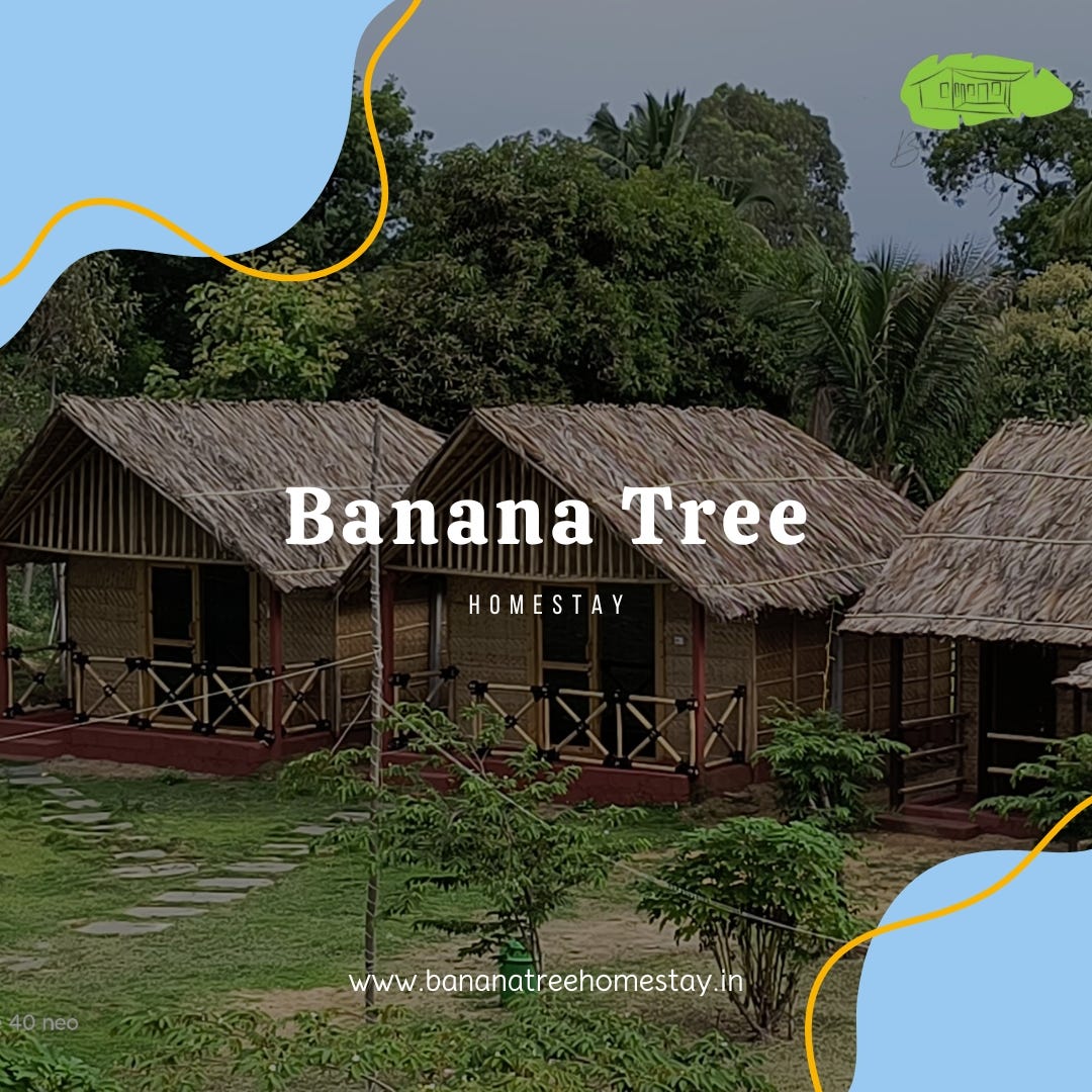 Top 5 Reasons to Stay at Banana Tree Homestay Instead of a Hotel While ...