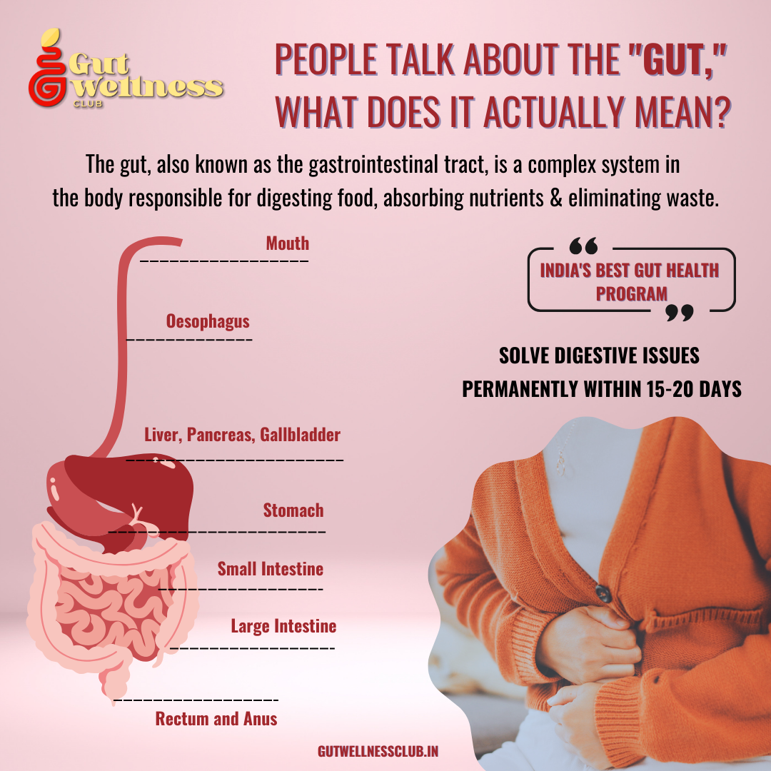 Digestion: Discover the Journey of Your Food from Plate to Gut! | by ...
