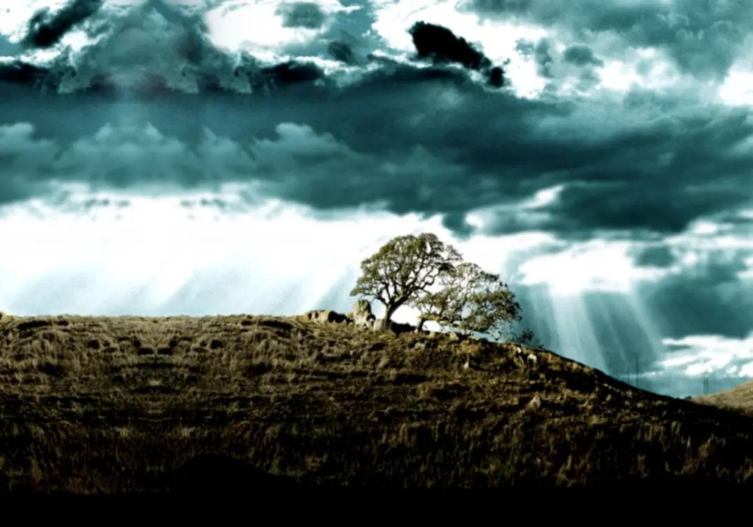 Keeping a Distance: Wisdom in Relationships After 50 | by Emily Lewis ...