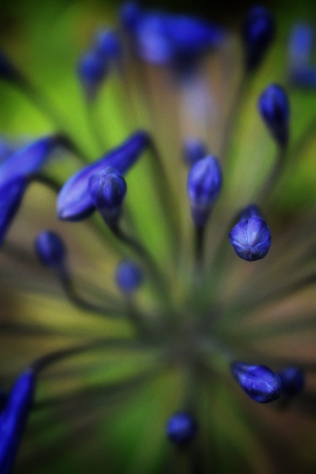 The Fullness of Time. Poetry | by A.M. Goode | Koinonia | Medium
