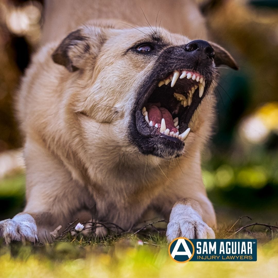 personal injury attorneySam Aguiar Injury Lawyers | by Samaguiarky ...