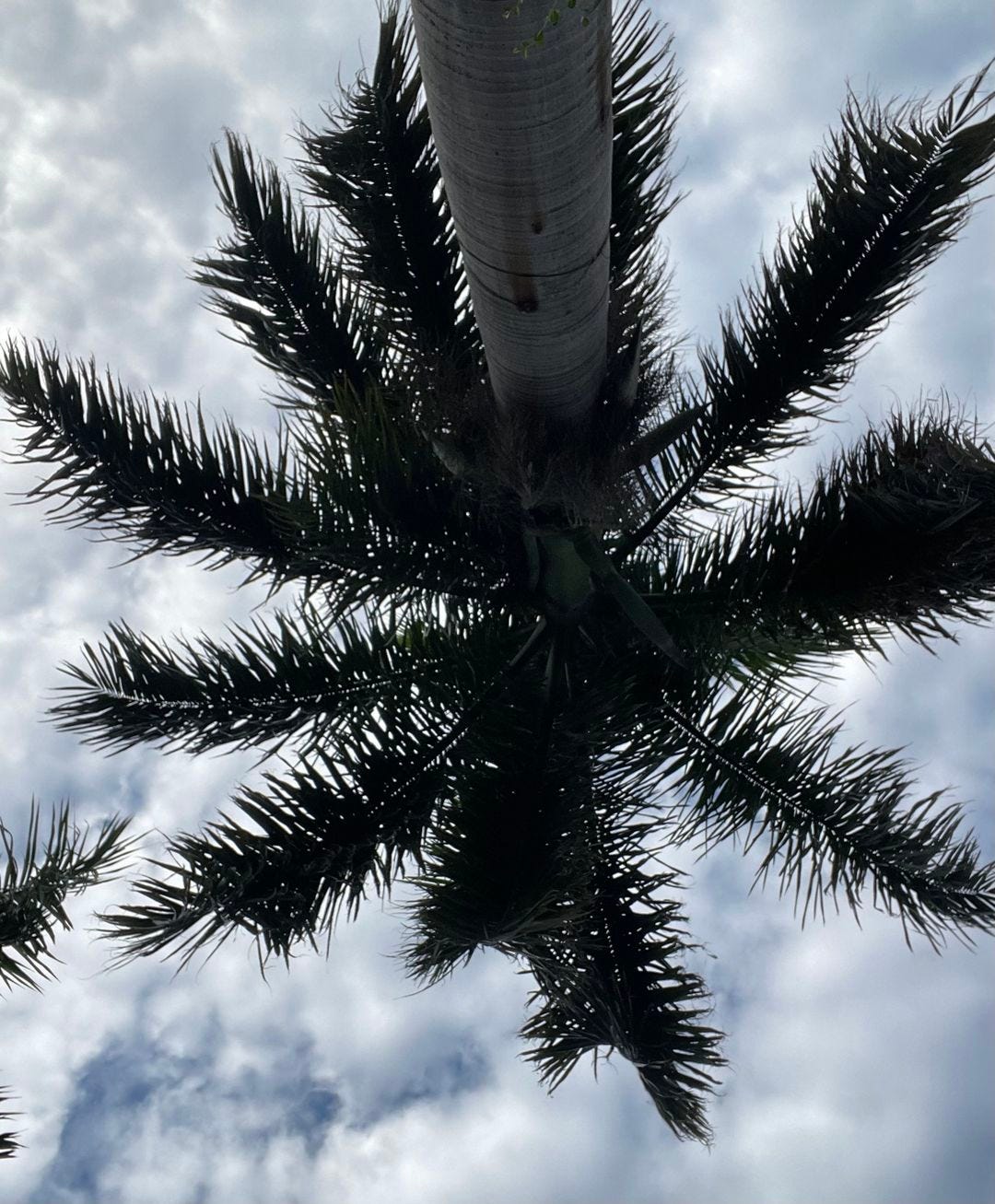 Seeding Desires~. an inner whisper not an outer shout | by Inderjit ...