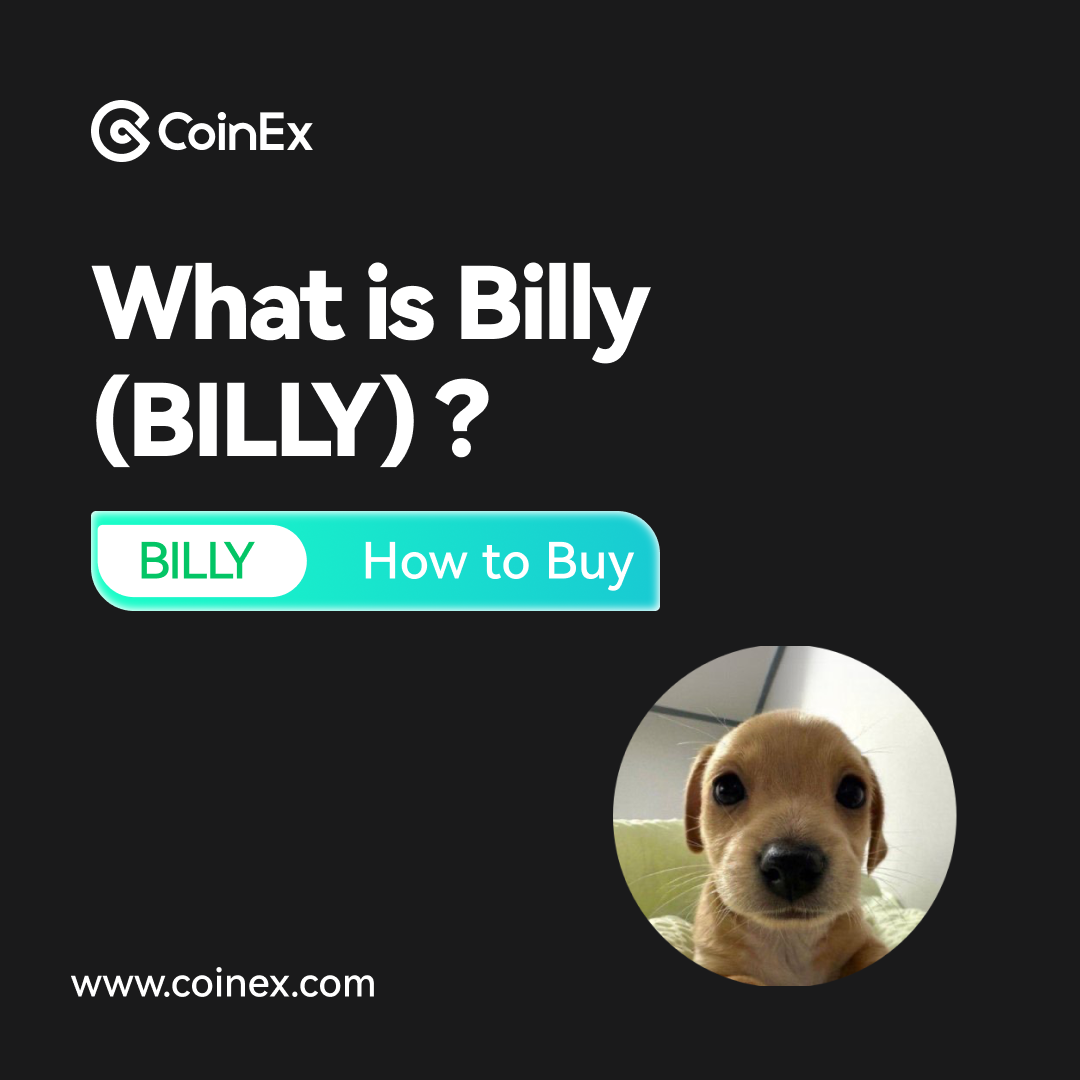 Billy Coin (BILLY): De meme de internet a sensación del mercado | by ...